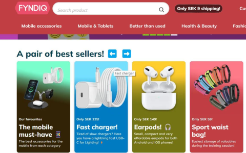 SHEIN(希音)跨境电商平台 | 零壹电商